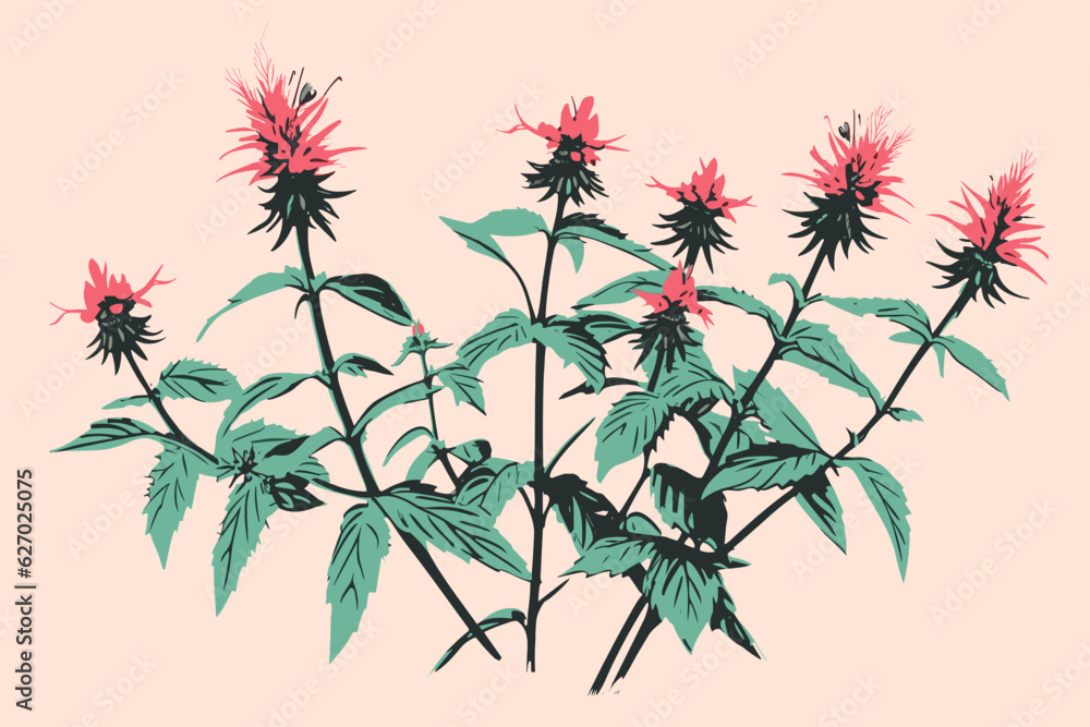 Doodle inspired Bee Balm, cartoon sticker, sketch, vector, Illustration ...