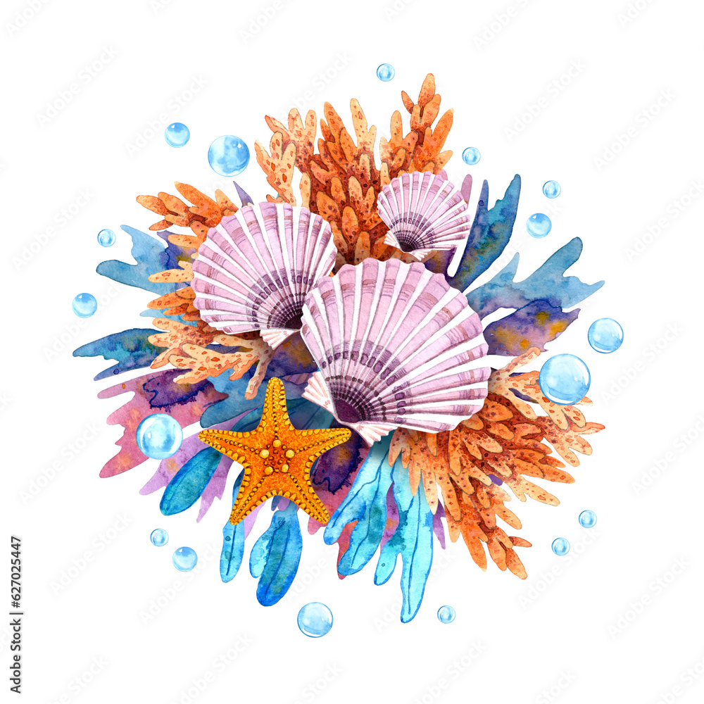 Sea life objects on a marine, tropical theme. Starfish, shells, corals ...