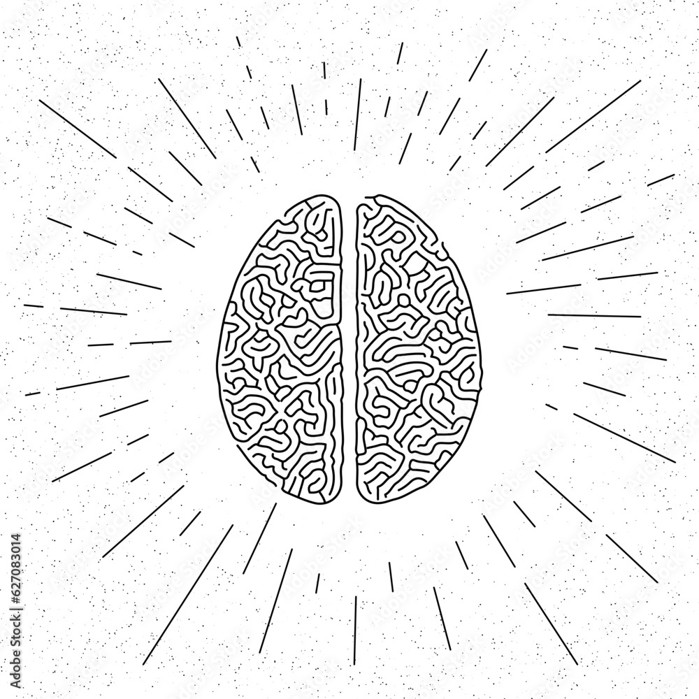 Vector concept of cerebral convolutions - brain icon - right and left ...