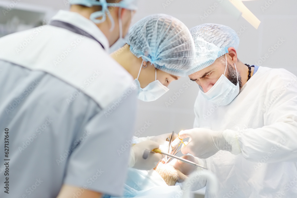 Surgeons and nurse during a dental operation. Anesthetized patient in ...
