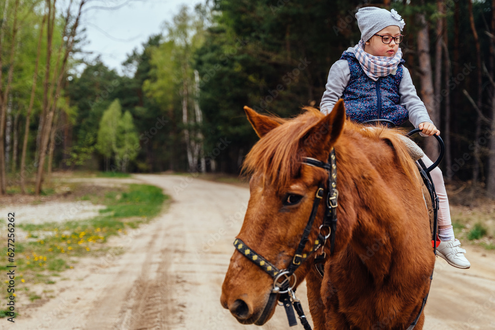Little girl riding on a horseback. The girl is sitting on a horse . A ...