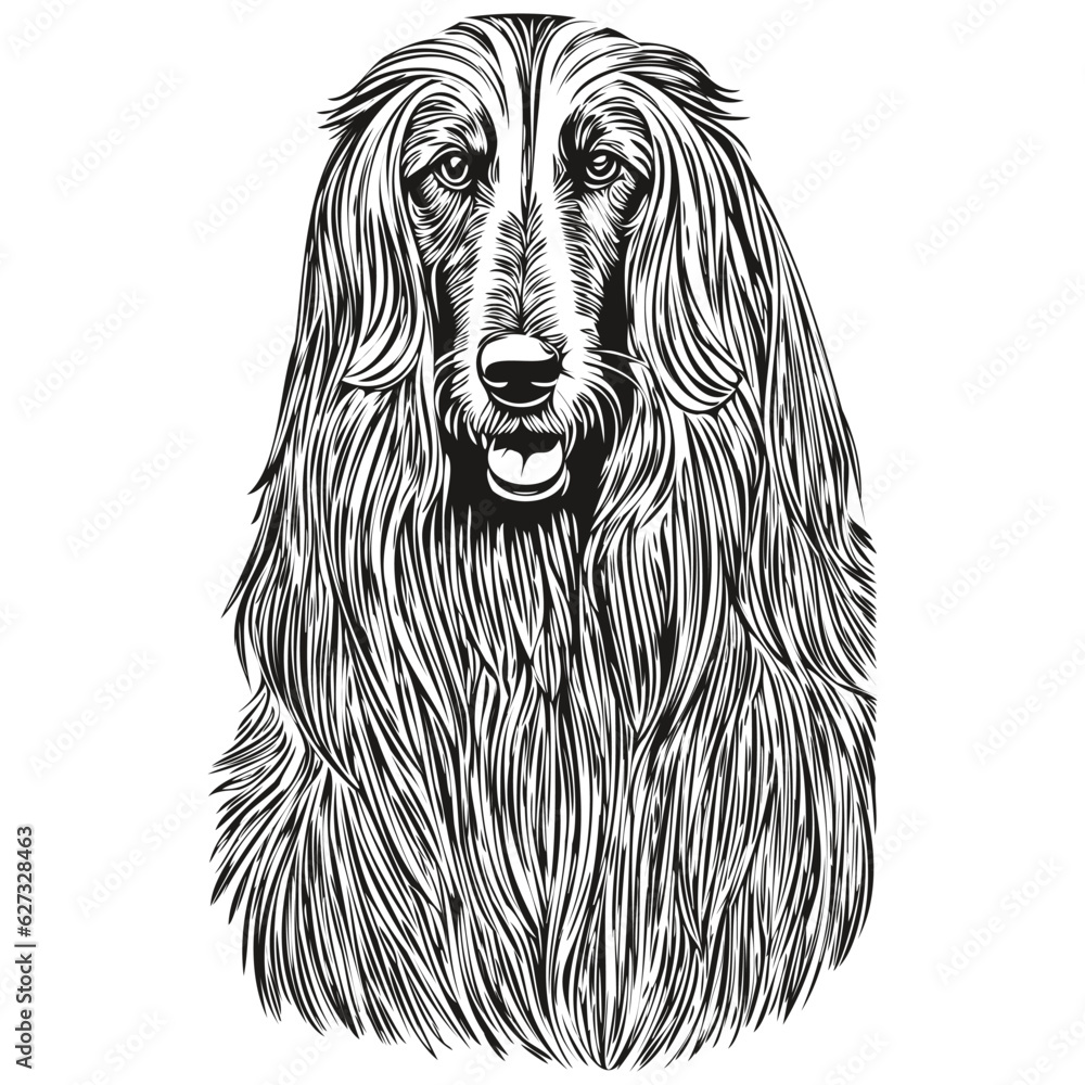 Afghan Hound dog breed line drawing, clip art animal hand drawing ...