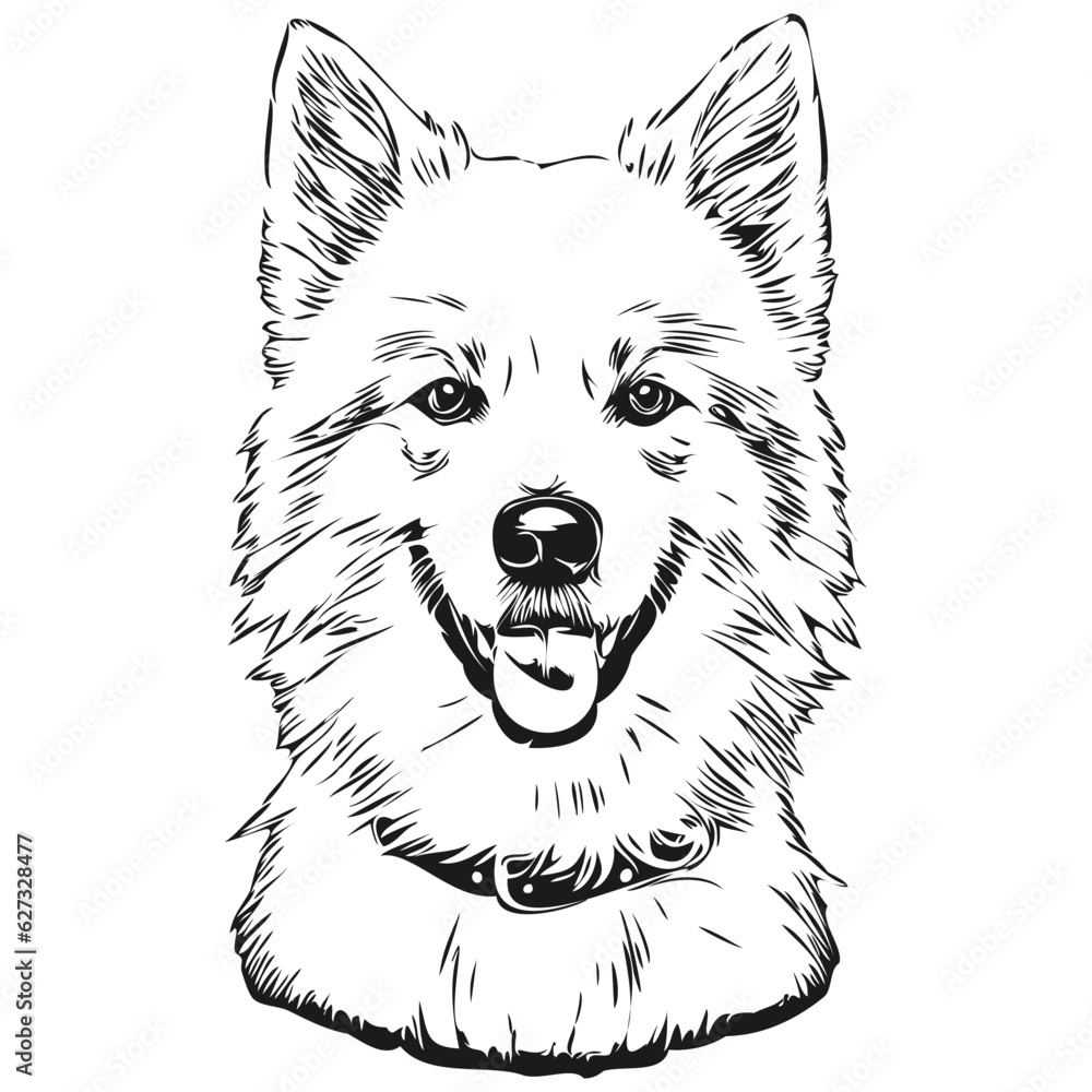American Eskimo dog breed line drawing, clip art animal hand drawing ...