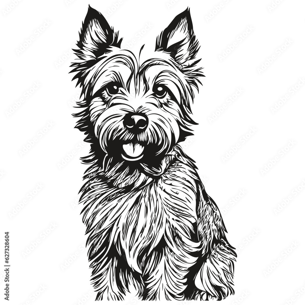 Cairn Terrier dog vector face drawing portrait, sketch vintage style ...