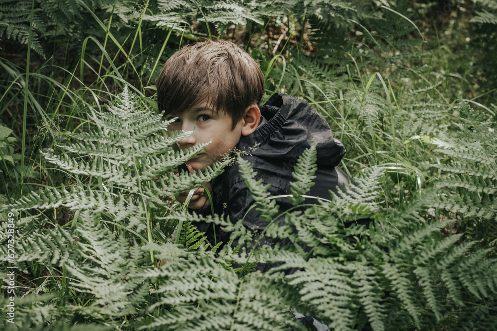 boy was hiding in the forest. The child hid in the ferns. Soft ...