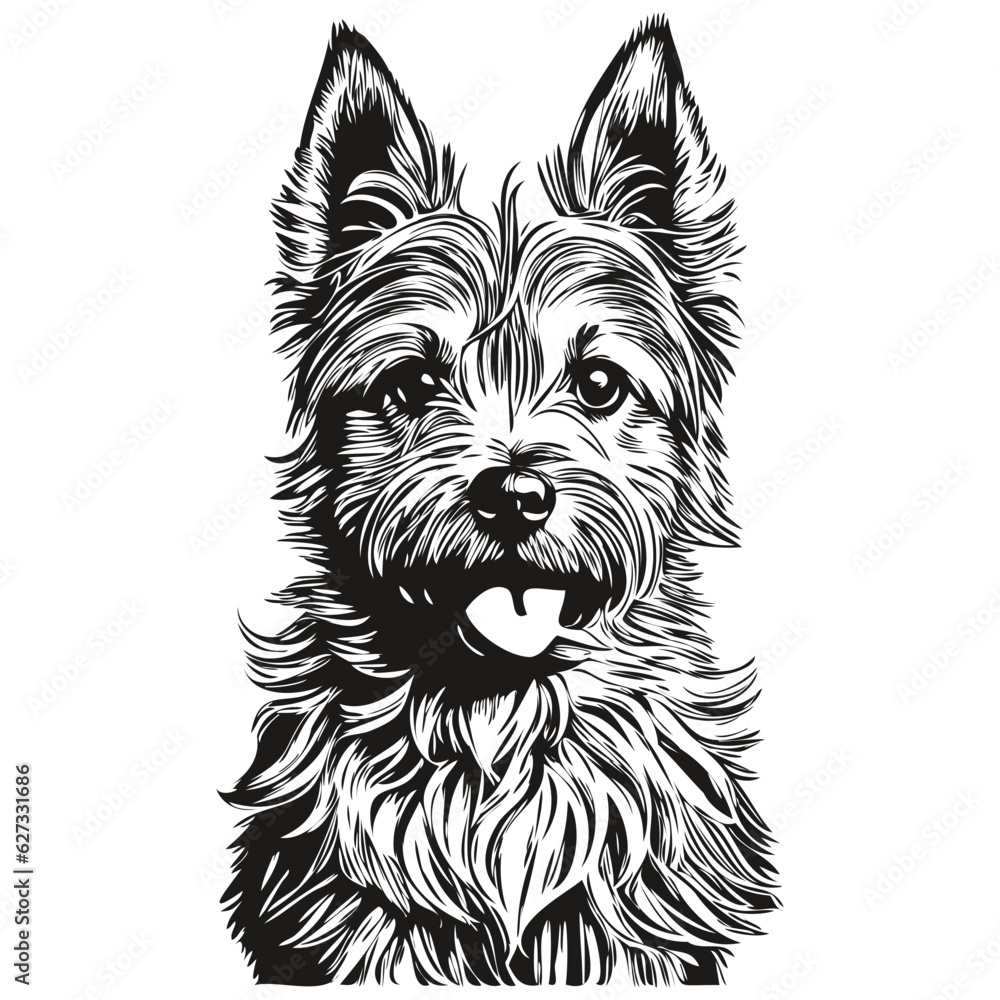 Cairn Terrier dog head line drawing vector,hand drawn illustration with ...