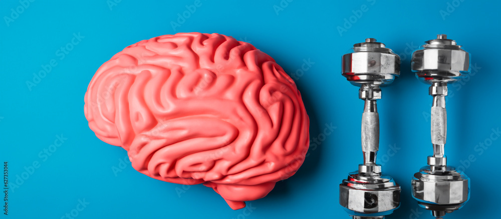 Brain with colorful background. Brain training. Training the brain ...