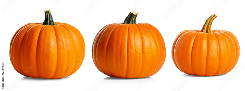 Set of pumpkins isolated on transparent or white background, png Stock ...