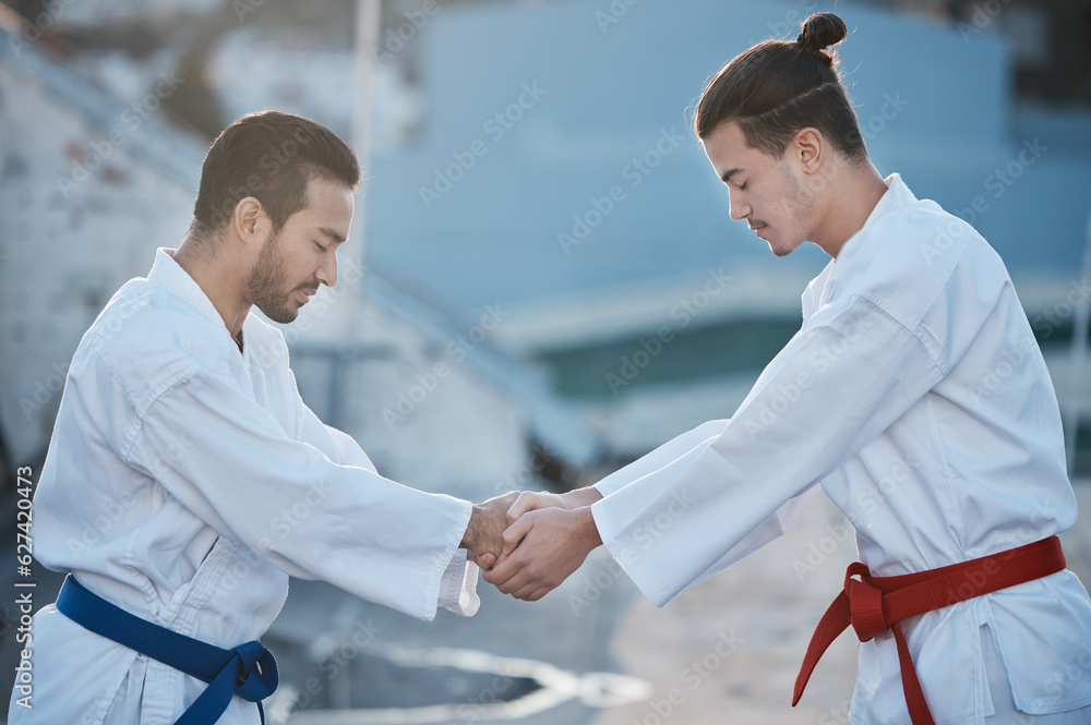 Men, karate and shaking hands at training fight with respect, fitness ...