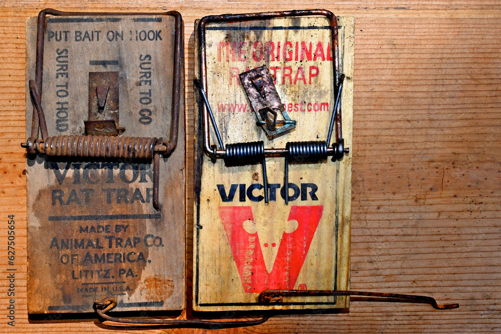 "Build a better mousetrap, and the world will beat a path to your door ...