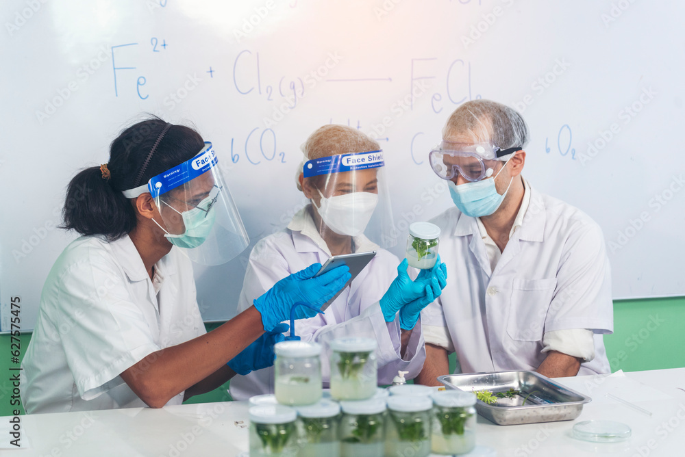 Scientist teams consult together with biochemistry plants tissue ...