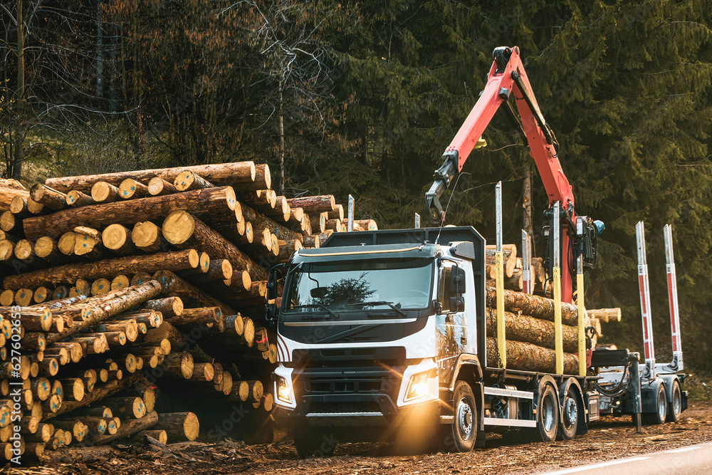 Loading logs onto a logging truck. Portable crane on a logging truck ...
