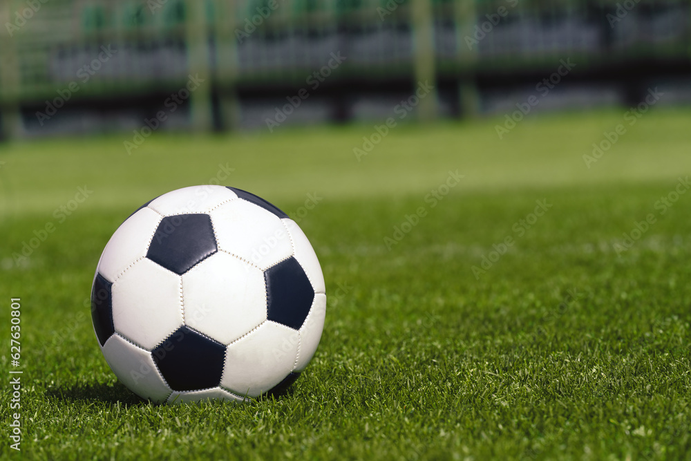 Football Ball on the Grassy Turf of the Stadium. Soccer Ball on Grass ...