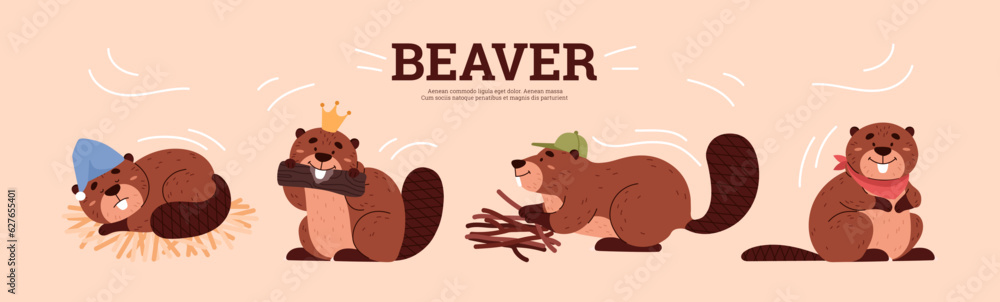 Set of cute beavers in different poses, cartoon flat vector ...