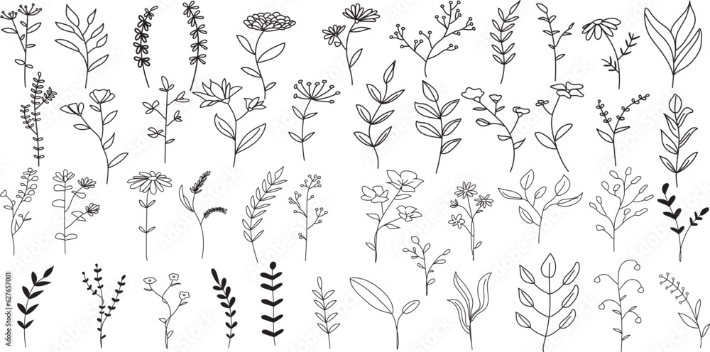Botanical Lineart Clipart Wildflowers Clipart Floral Line Art Pencil ...
