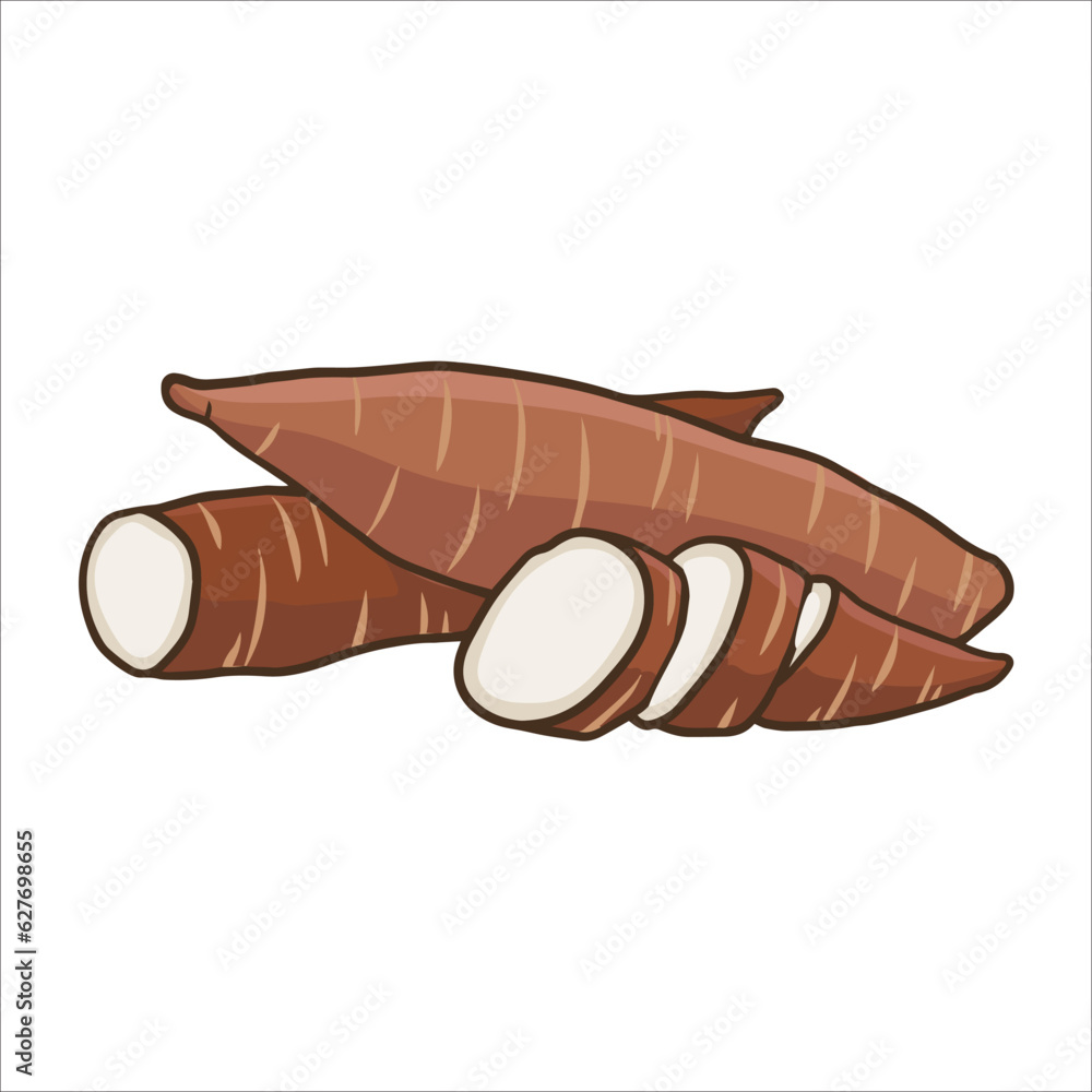 vector illustration set of cassava as a fresh plantation produce on ...