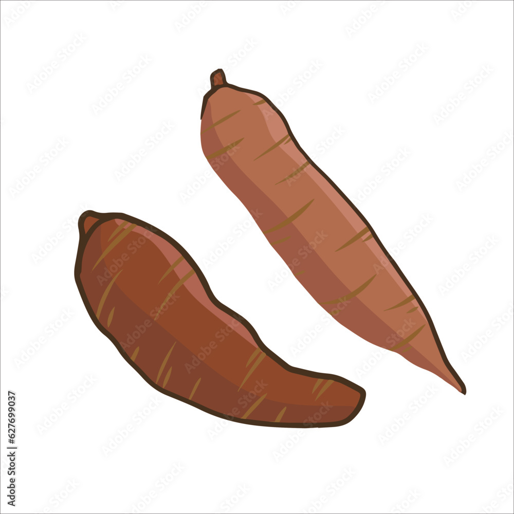 vector illustration set of cassava as a fresh plantation produce on ...