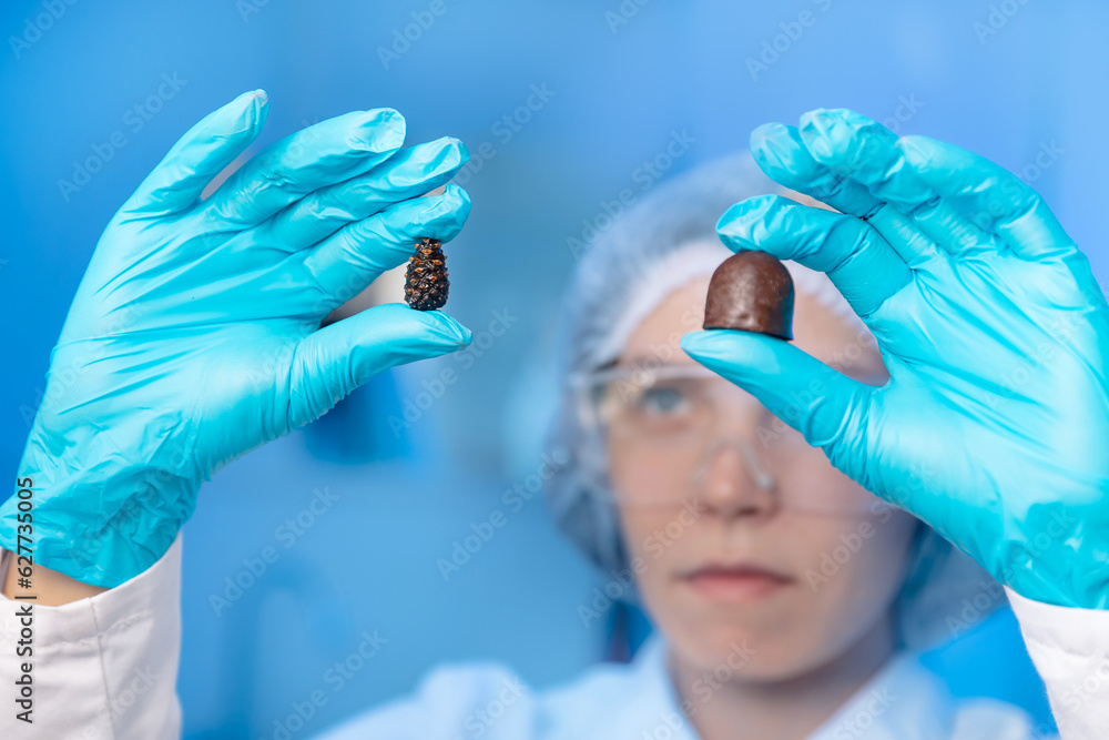 Worker chemist tests chocolate products from nut pine in laboratory ...