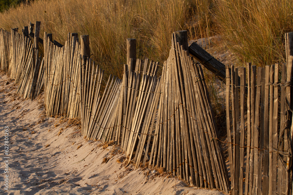Sand fence to avoid erosion in Calvi Corsica at the mediterranean sea ...