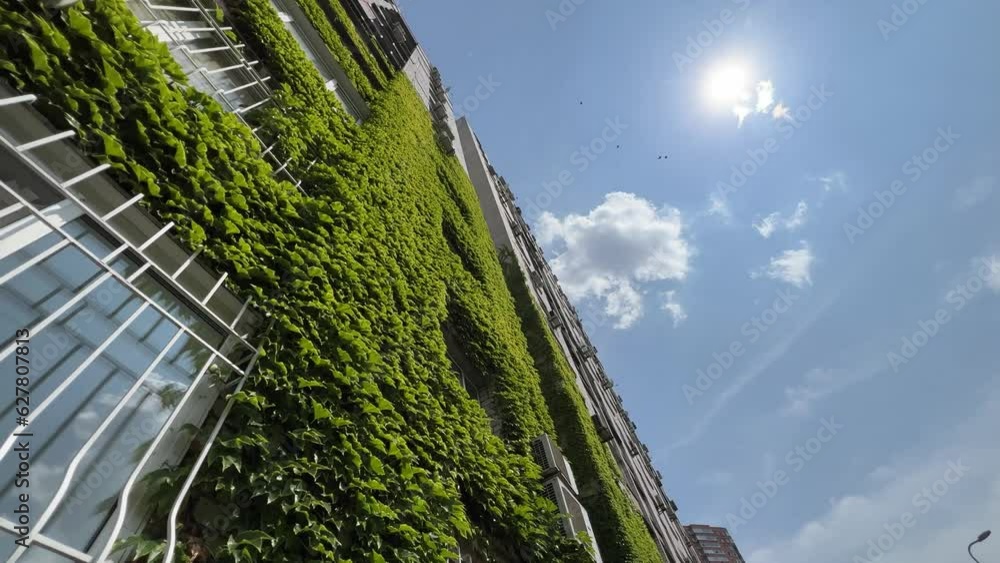 Green building with plants growing on the facade. Wall of a house ...