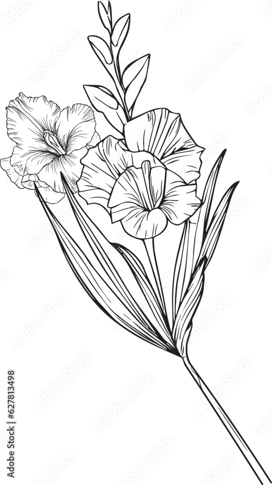 women's gladiolus tattoo august birth flower drawings, august birth ...
