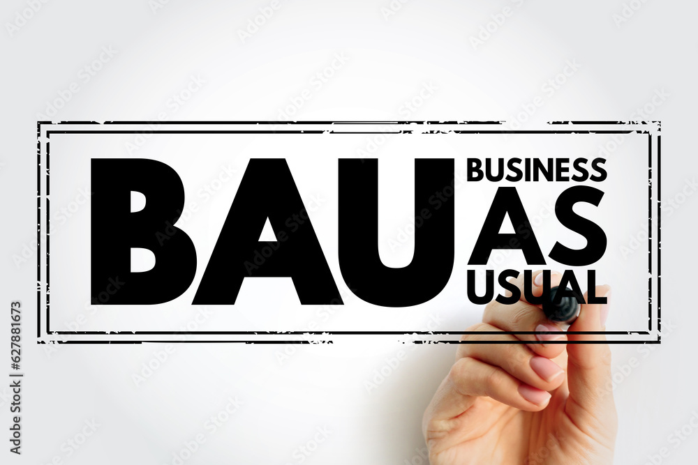 BAU Business As Usual - normal execution of standard functional ...
