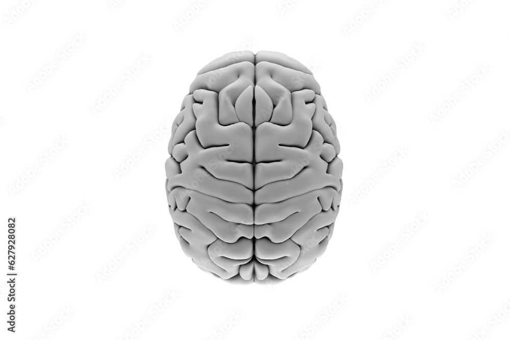 Digital png illustration of gray human brain on transparent background ...