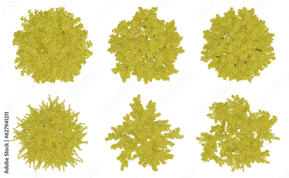 Set of yellow bush on top view isolated on transparent background, 3d ...