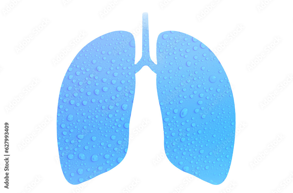 lungs bronchi abstraction isolated on transparent background Stock ...
