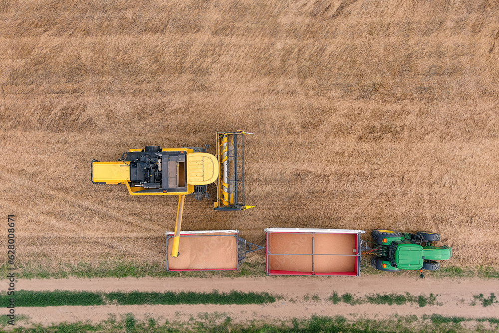 Poster Combine harvester discharging grain from uploader – Wall Art ...