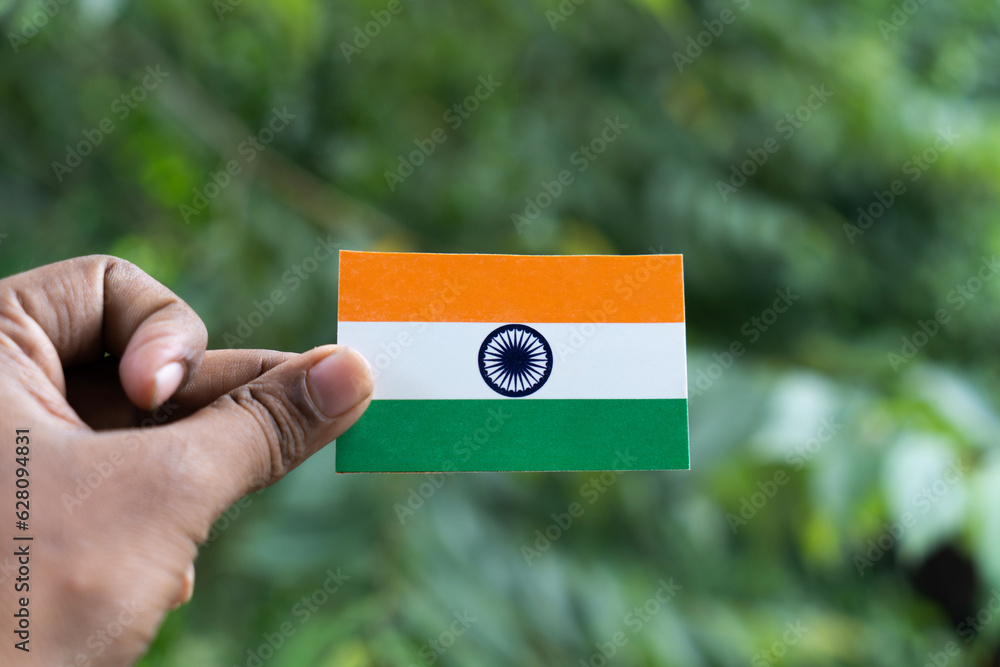 Hand holding small Indian flag, India Republic day and Independence day ...