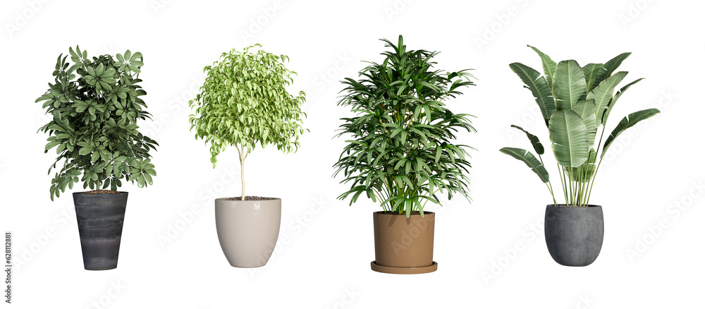 Plants in 3d rendering. Beautiful plant in 3d rendering isolated. Stock ...