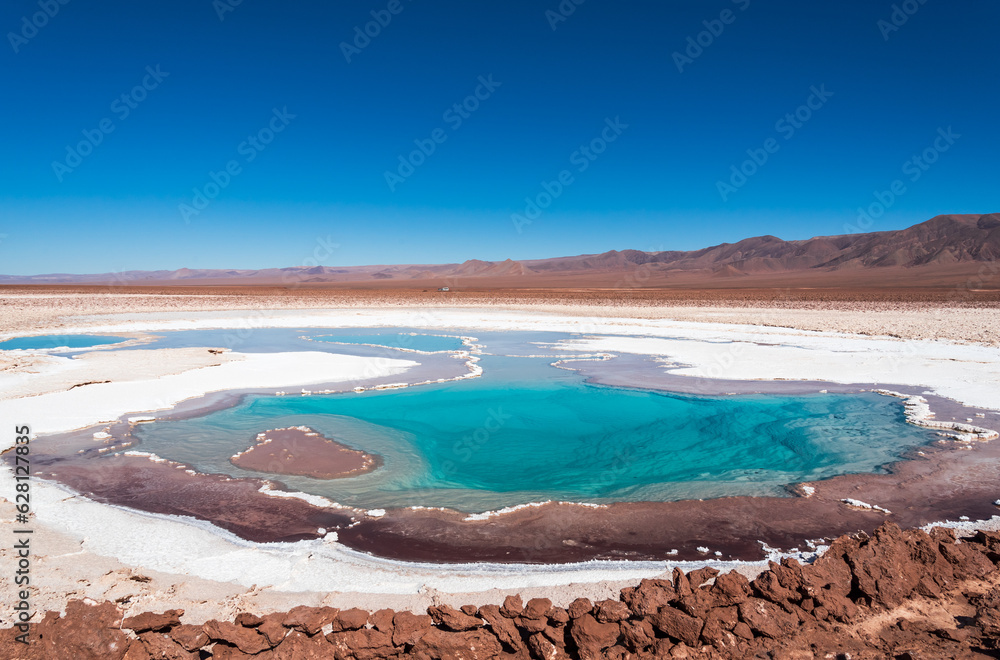 Transparent water at one of Baltinache hidden lagoons in Atacama desert ...