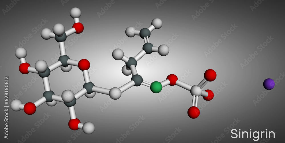 Sinigrin, allyl glucosinolate molecule. Glucosinolate from family of ...