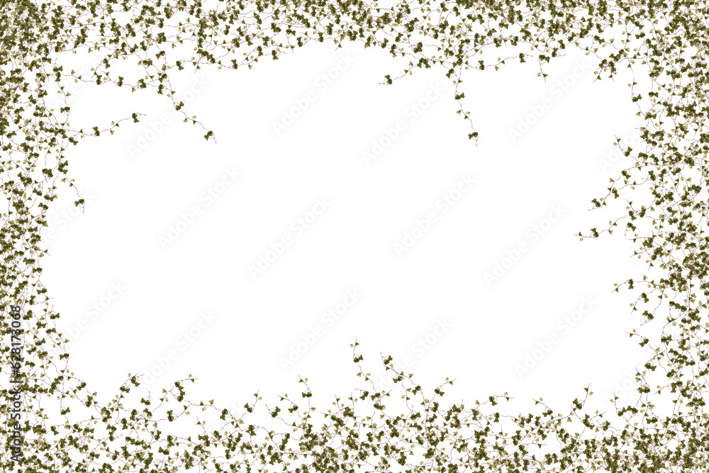 Trail of ivy vine plant branches border frame. Transparency background ...