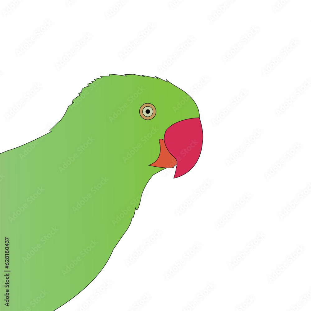 Green parrot on white background. Green parrot vector drawing. Stock ...