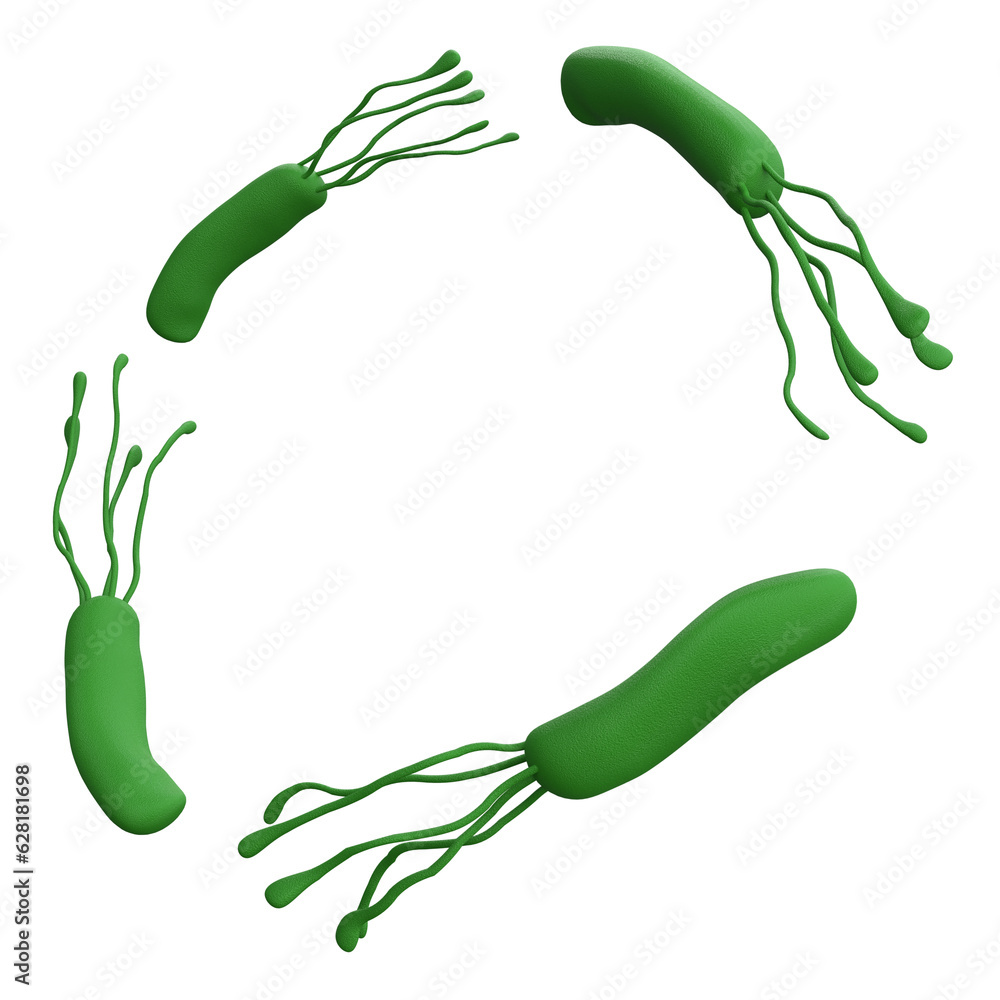 Helicobacter pylori bacteria 3d render realistic frame with place for ...