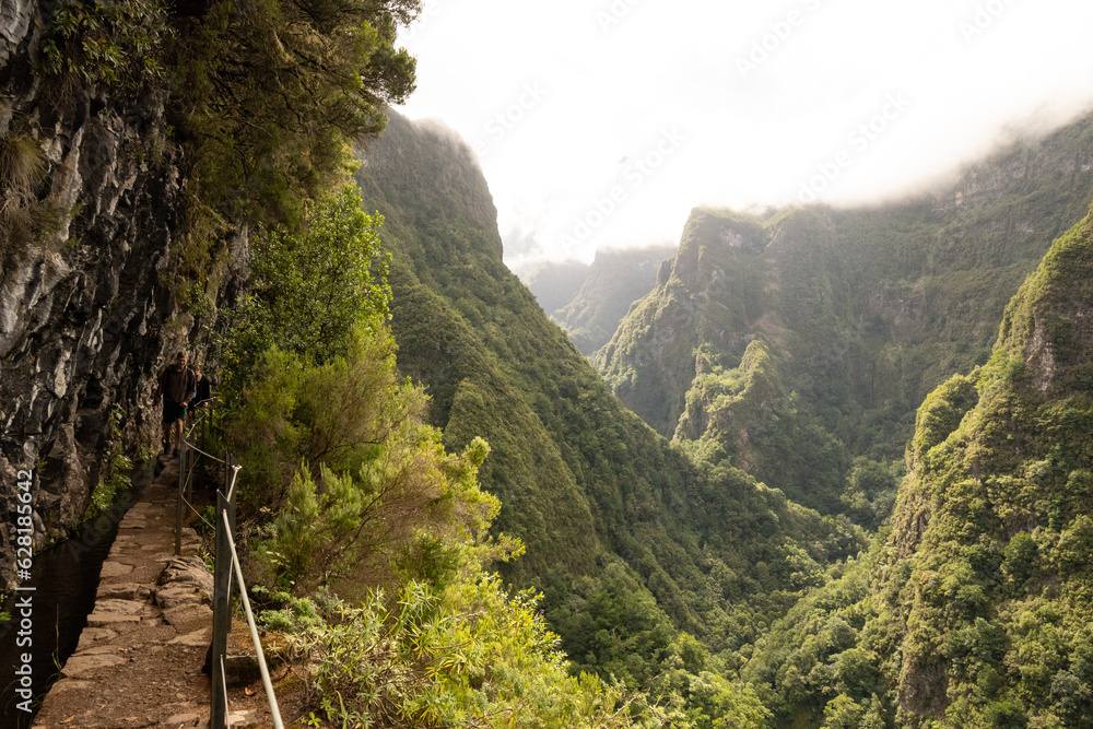 Subtropical jungle in the heart of Madeira, portuguese atlanticIsland ...