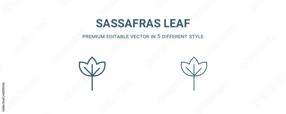 sassafras leaf icon. Filled and line sassafras leaf icon from nature ...