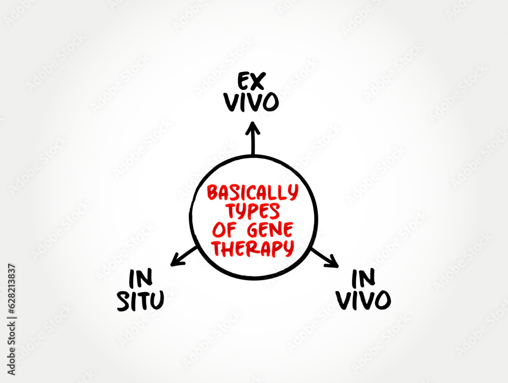 Basically three types of gene therapy mind map text concept for ...