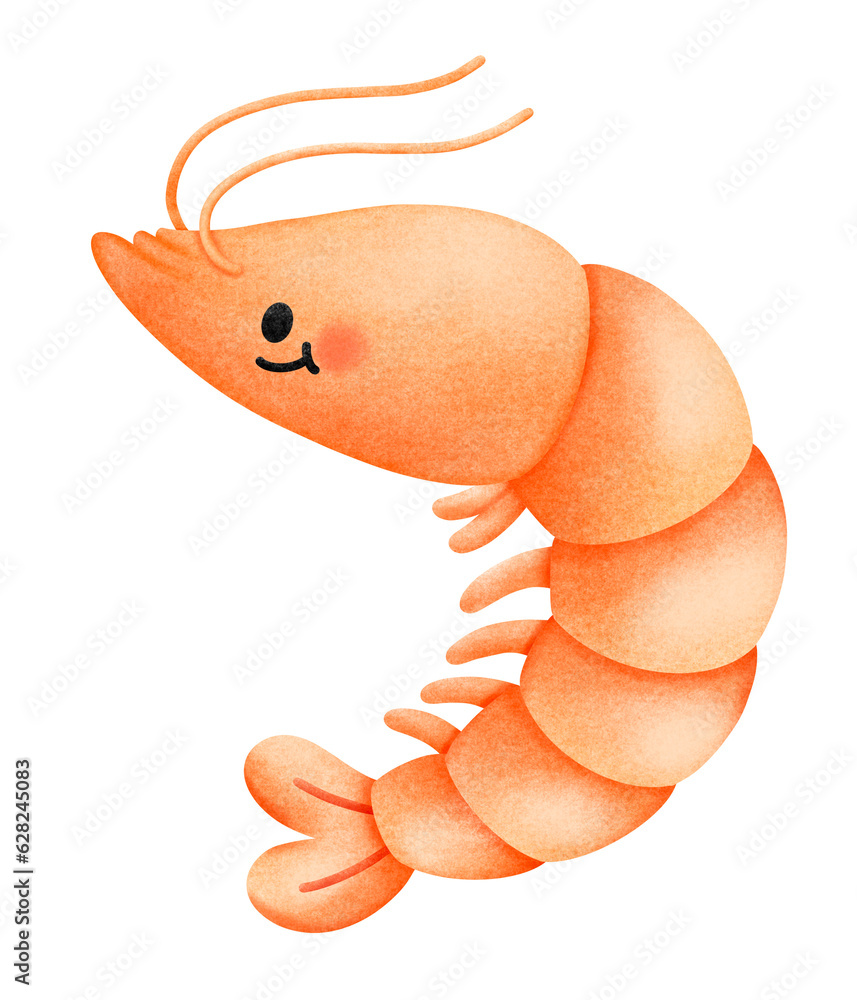 Cute Shrimp Character. Marine life. Flat cartoon style vector ...