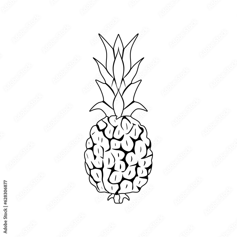 Pineapple fruit in black sketch icon. Summer fruits for healthy ...