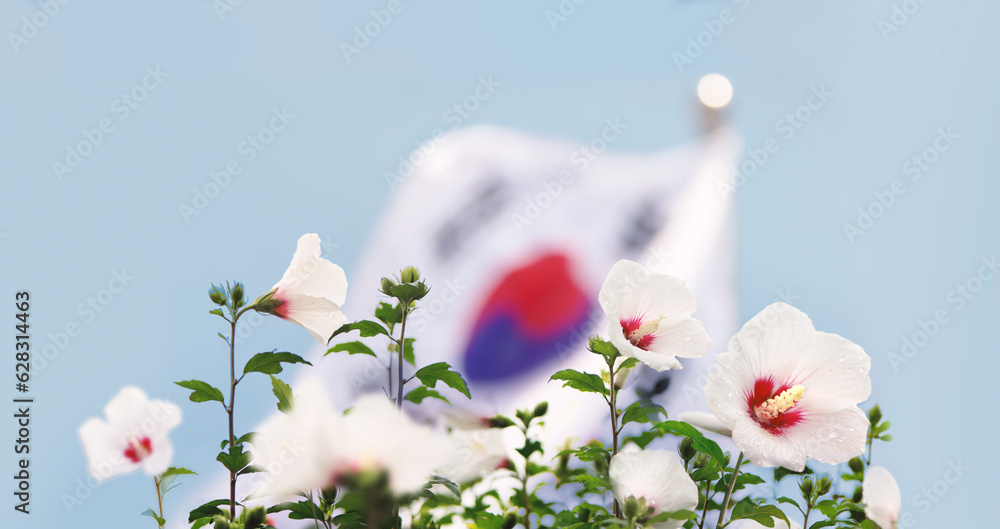 Blue sky Republic of Korea Taegeukgi and Mugunghwa flower and Samiljeol ...