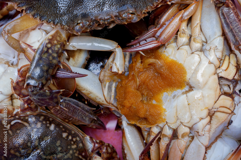 Alimasag Vs Alimango