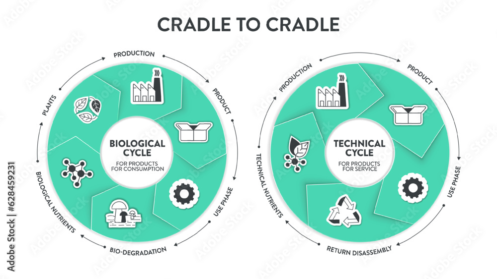 Cradle to Cradle cycle diagram infographic banner template with icon ...