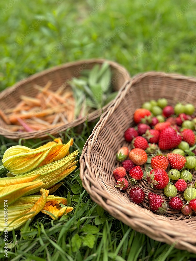 baskets with harvest from the garden, summer fruit and vegetable ...