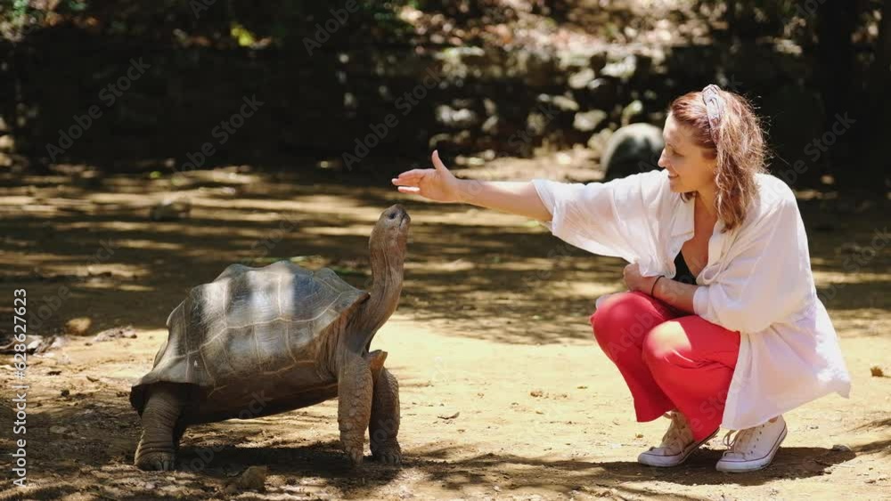 Smiling tourist woman patting Aldabra giant tortoise head - one of the ...