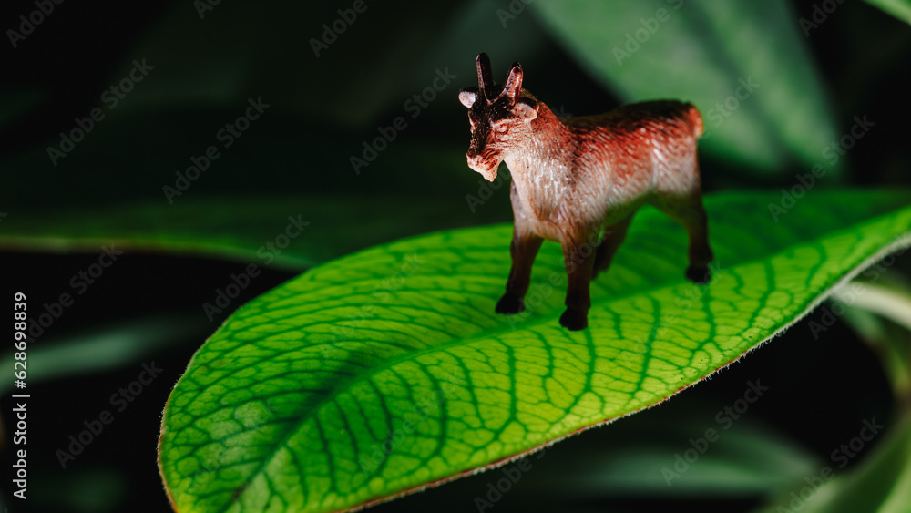 animales miniatura, toros , vacas, pollos, chivos sobre tierra y sobre ...