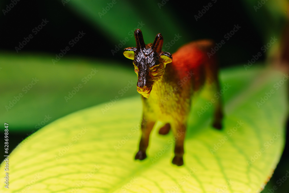 animales miniatura, toros , vacas, pollos, chivos sobre tierra y sobre ...