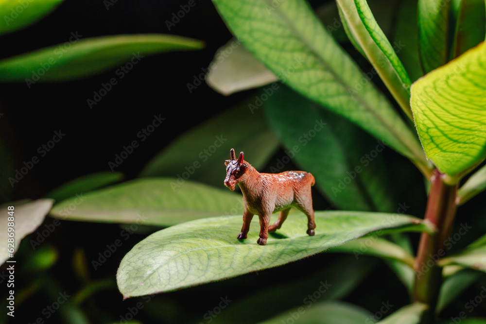 animales miniatura, toros , vacas, pollos, chivos sobre tierra y sobre ...